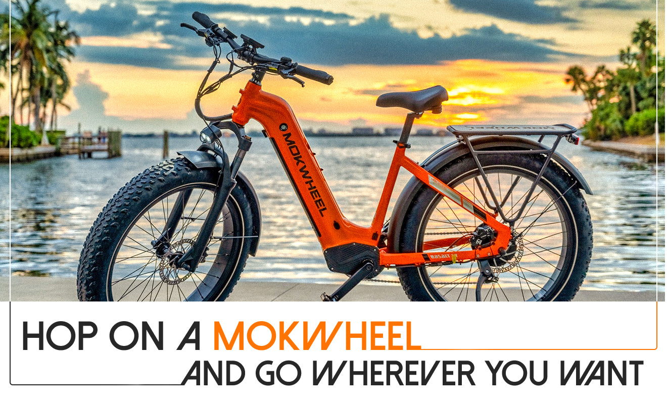 Mokwheel Just Dropped Prices by $100. Here’s Why—and How It Benefits Y