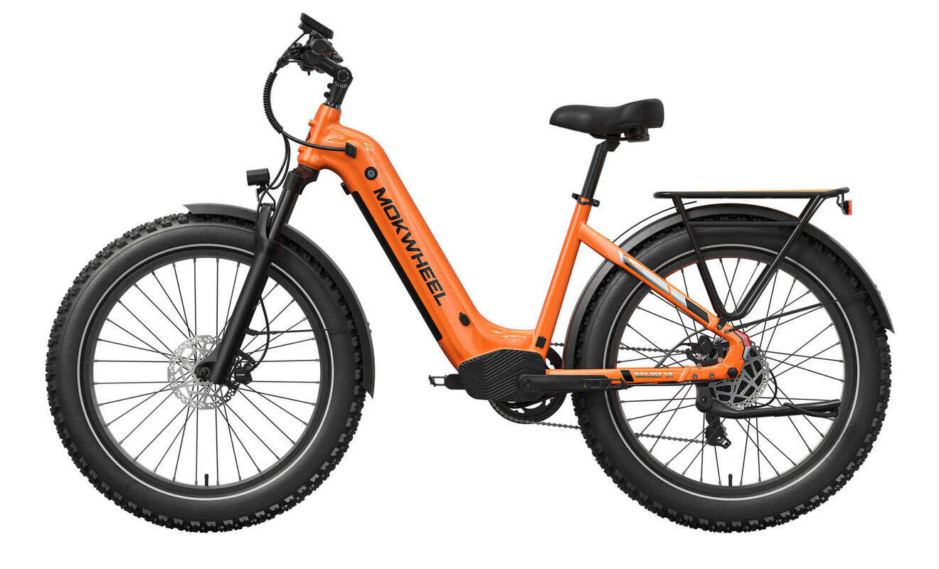Introducing Basalt ST 2.0: The Ultimate All-Terrain E-Bike