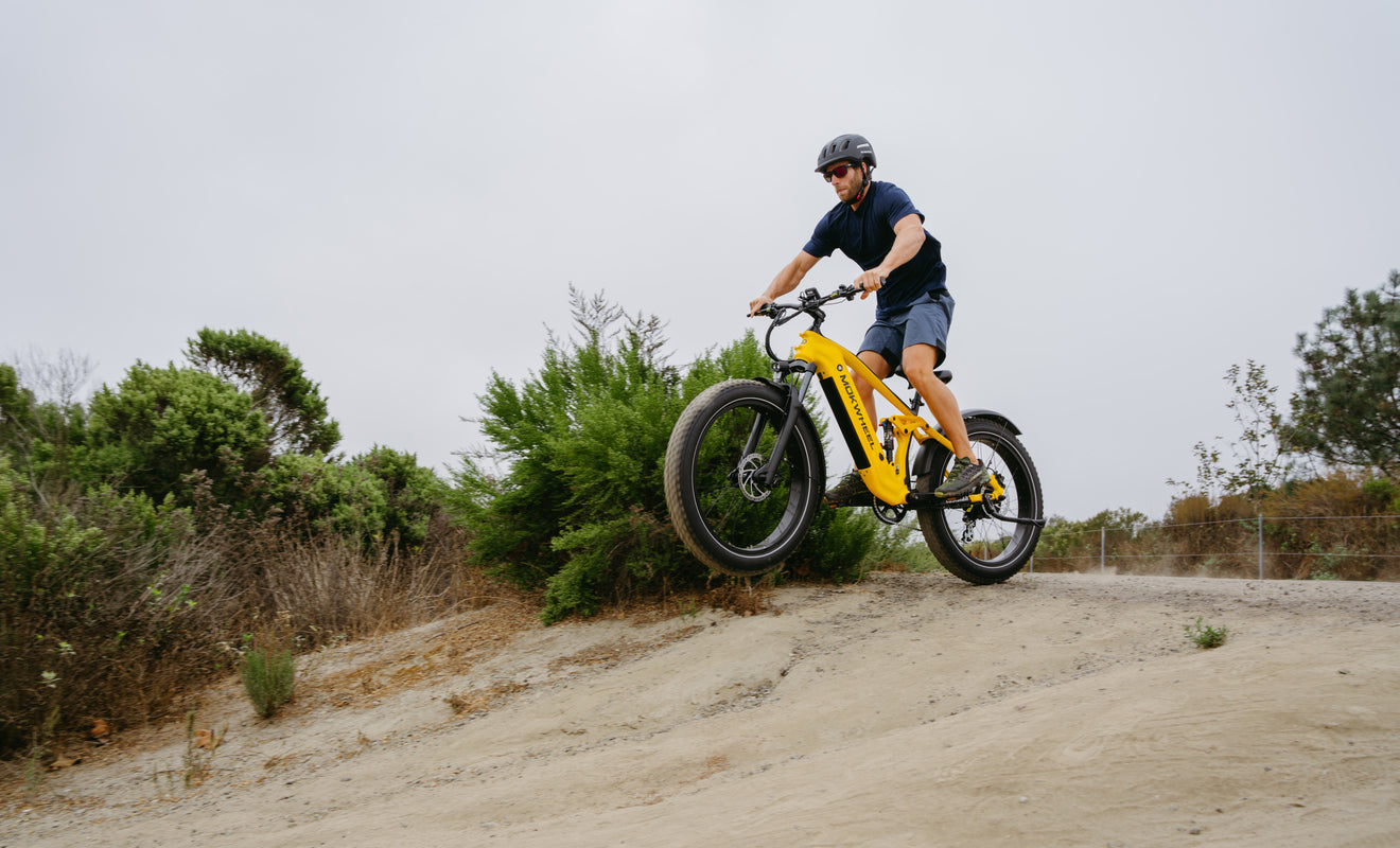 Best All Around Mountain Electric Bikes 2025