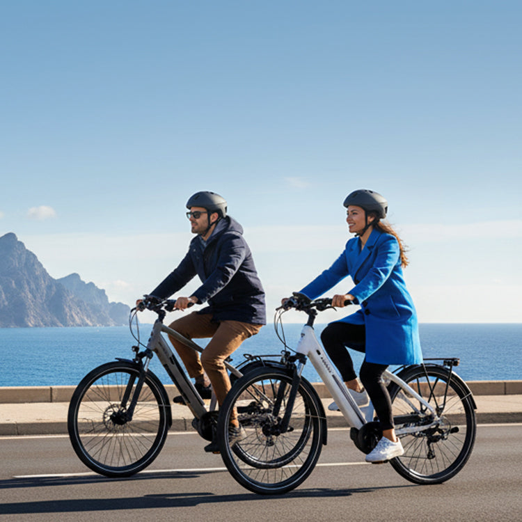 Long Range Electric Bikes for Adults | Free Shipping