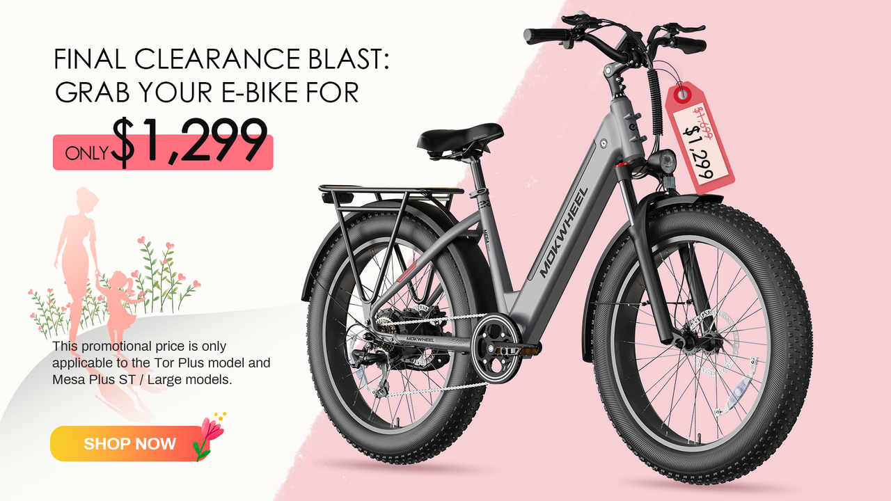 Tor Plus| Fat Tire Electric Off Road Bike| Mokwheel Ebikes