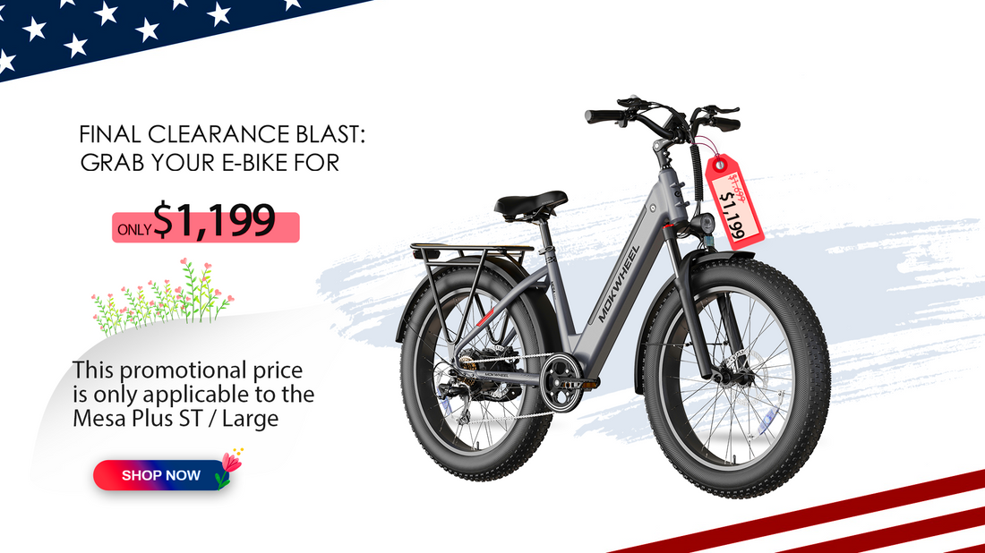 Tor Plus| Fat Tire Electric Off Road Bike| Mokwheel Ebikes