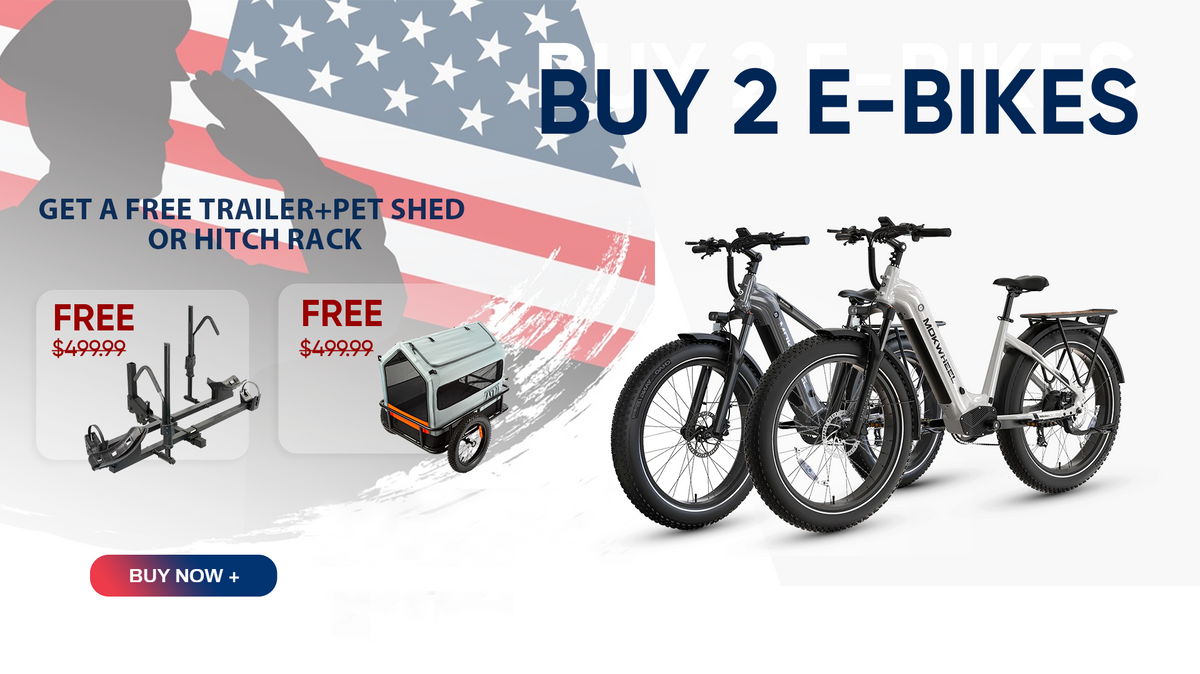 Tor Plus| Fat Tire Electric Off Road Bike| Mokwheel Ebikes