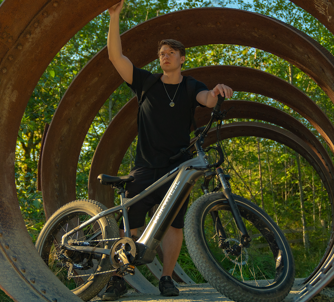 Buy Mokwheel Best All-Terrain | Power Station | Commuter Ebike